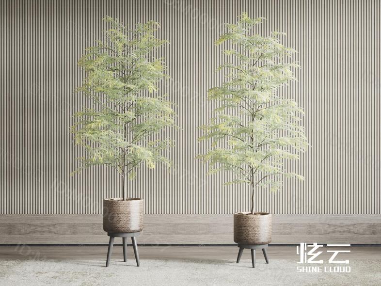 现代植物盆栽组合模型 M0000790757 炫云云模型网