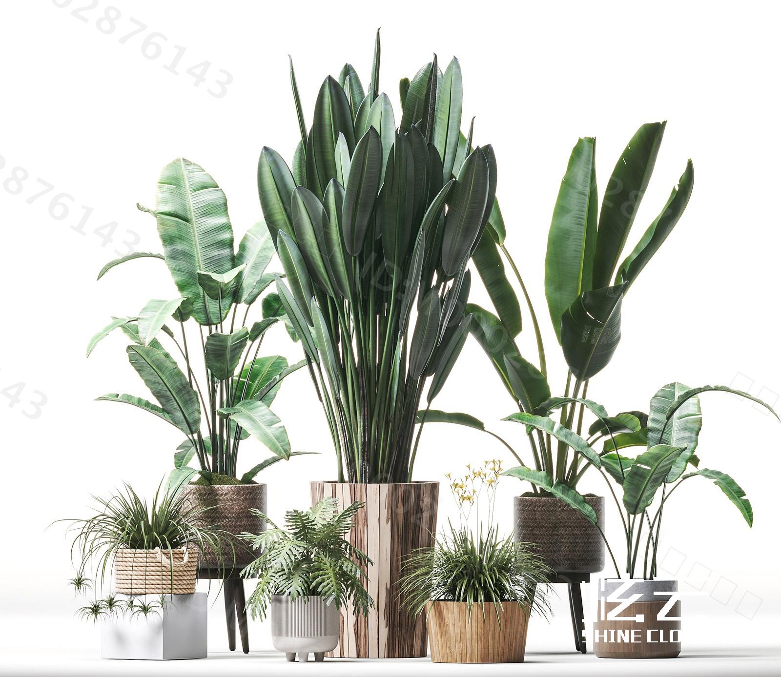 3D模型-现代植物盆栽模型-M0002876143-炫云云模型网