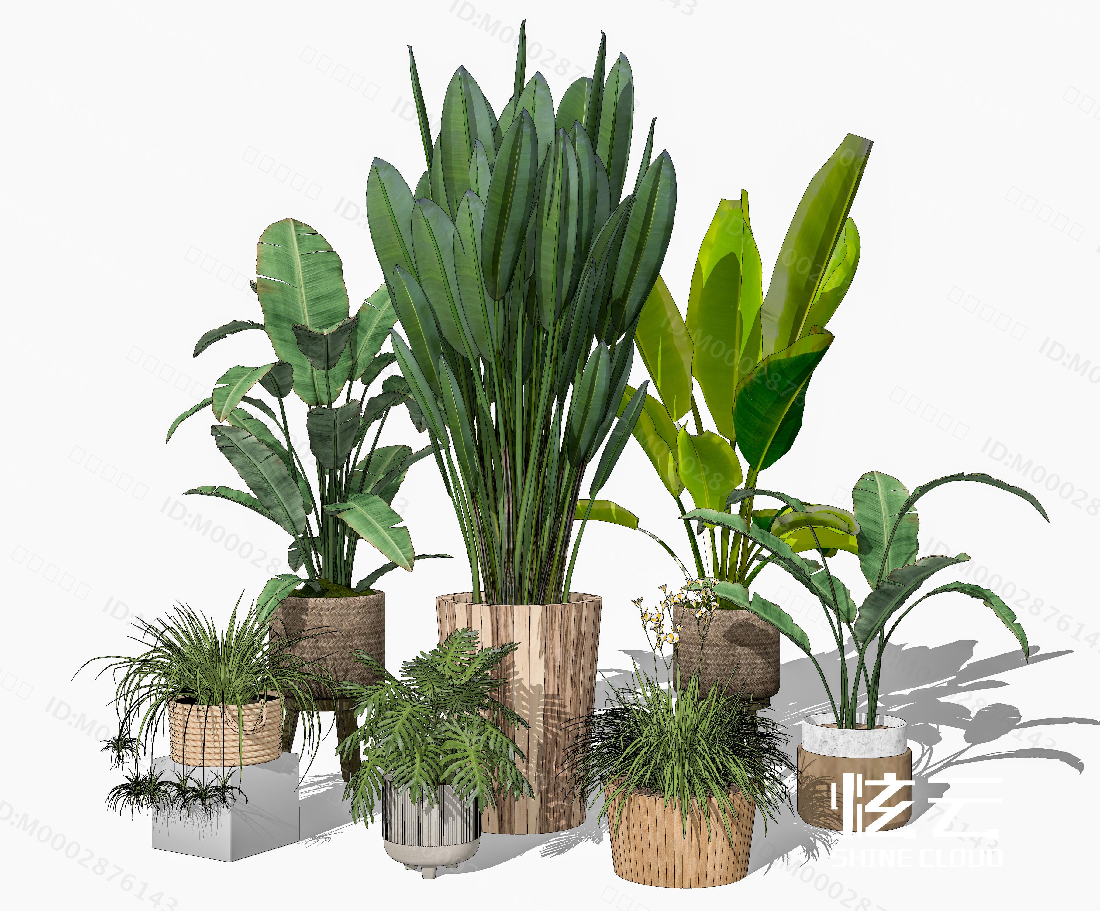 3D模型-现代植物盆栽模型-M0002876143-炫云云模型网