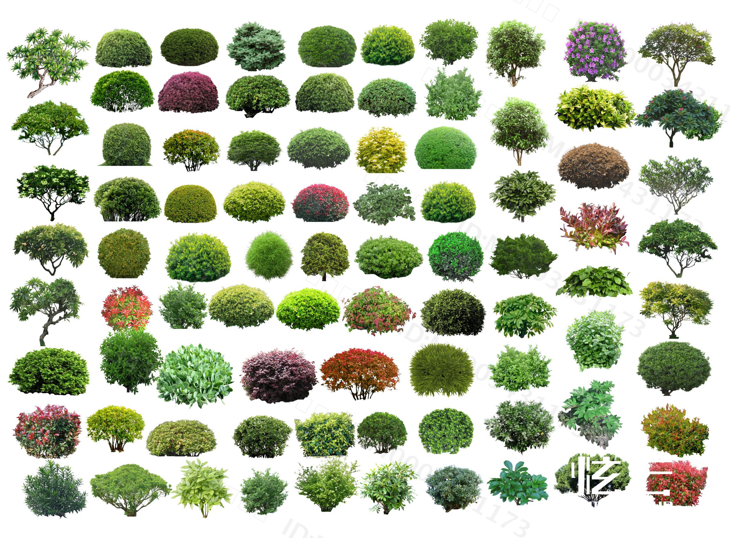 3D模型-现代球形灌木模型-M0003431173-炫云云模型网