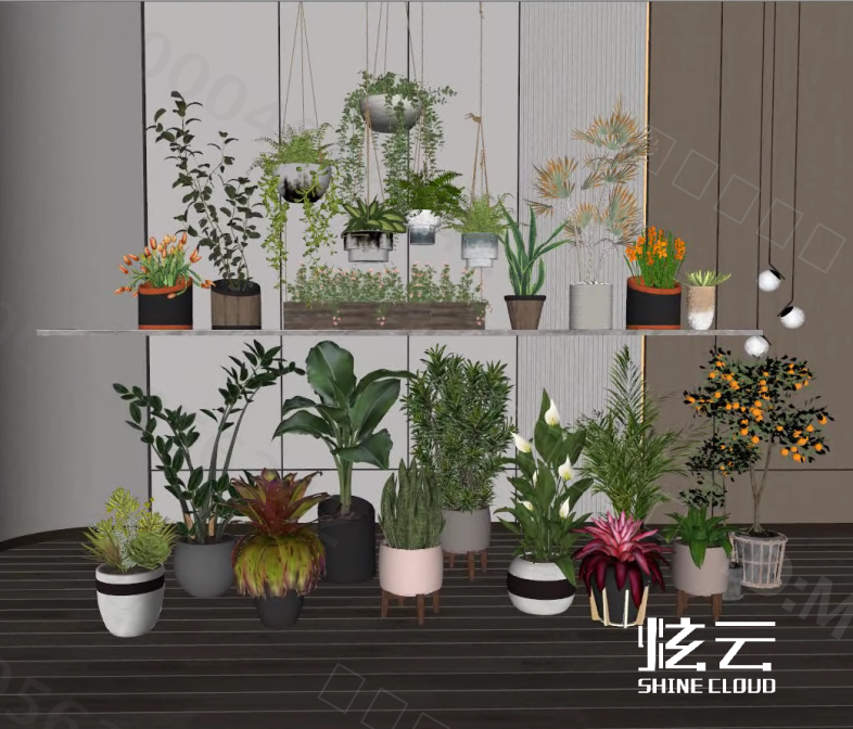 现代绿植盆栽模型 M0004056342 炫云云模型网