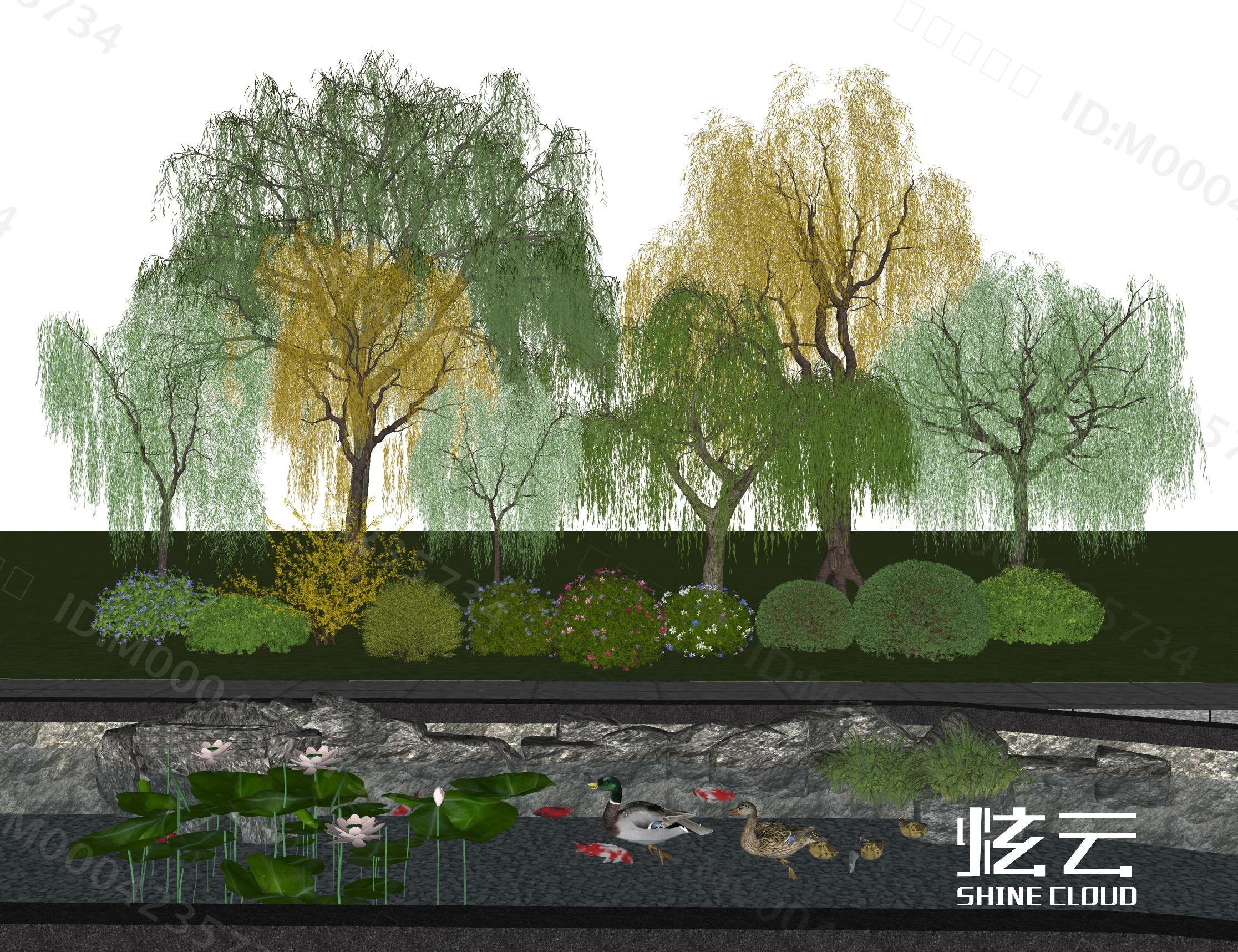 3D模型-现代柳树模型-M0004235734-炫云云模型网