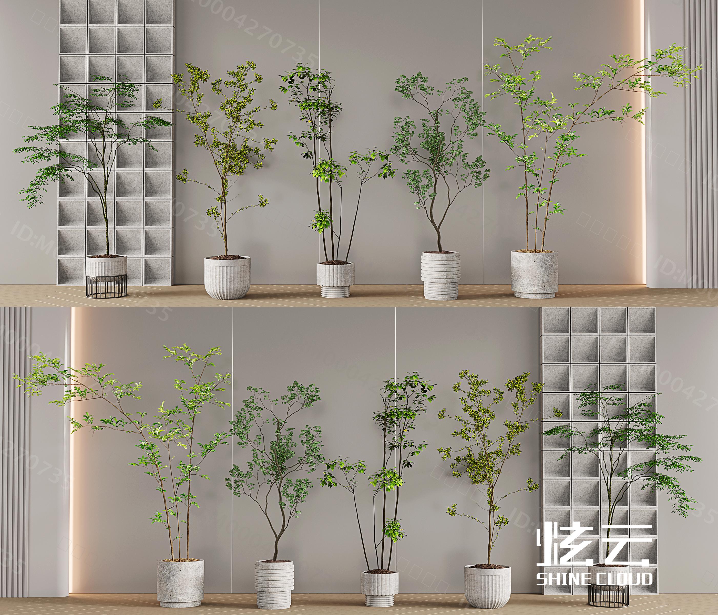 3d模型 现代植物绿植盆栽模型 M0004270735 炫云云模型网